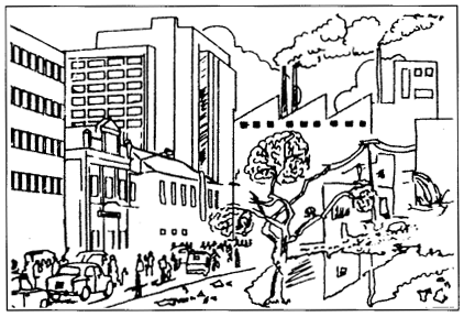 CBSE Class 7 English Paragraph Writing Based on Visual Input ...